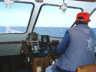 Big game fishing | www.carvoeiro.com